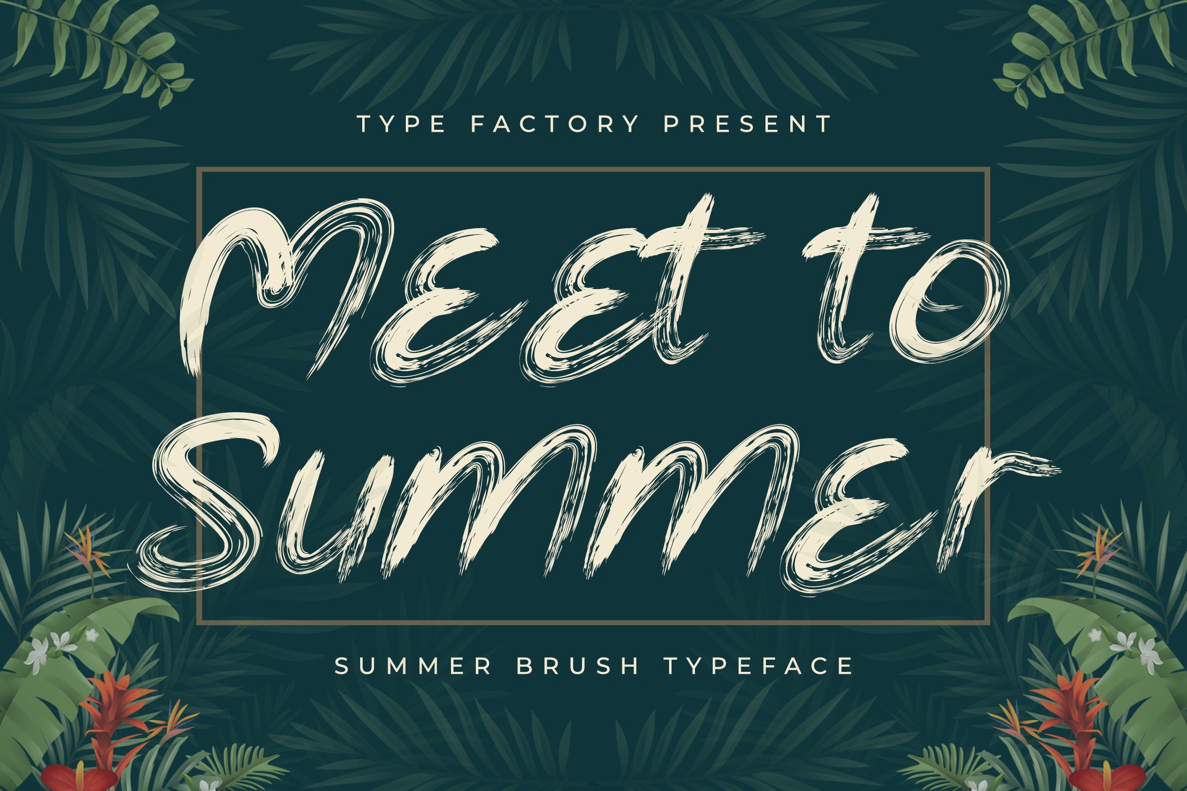 Meet to Summer - Summer Brush Typeface | Typefactory.co